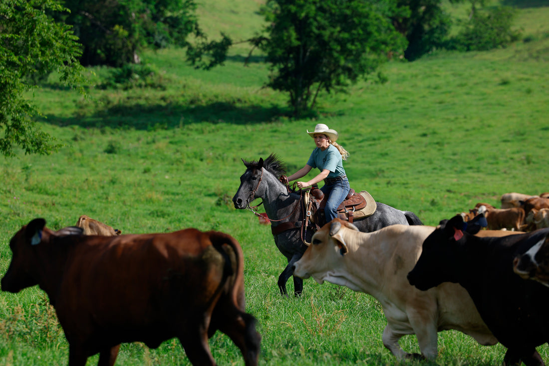 Events – LoKey Ranch